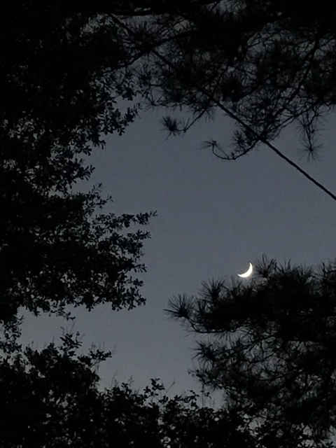 View lil.tay (Tay) OnlyFans 49 Photos and 32 Videos for free - LeakedLovers